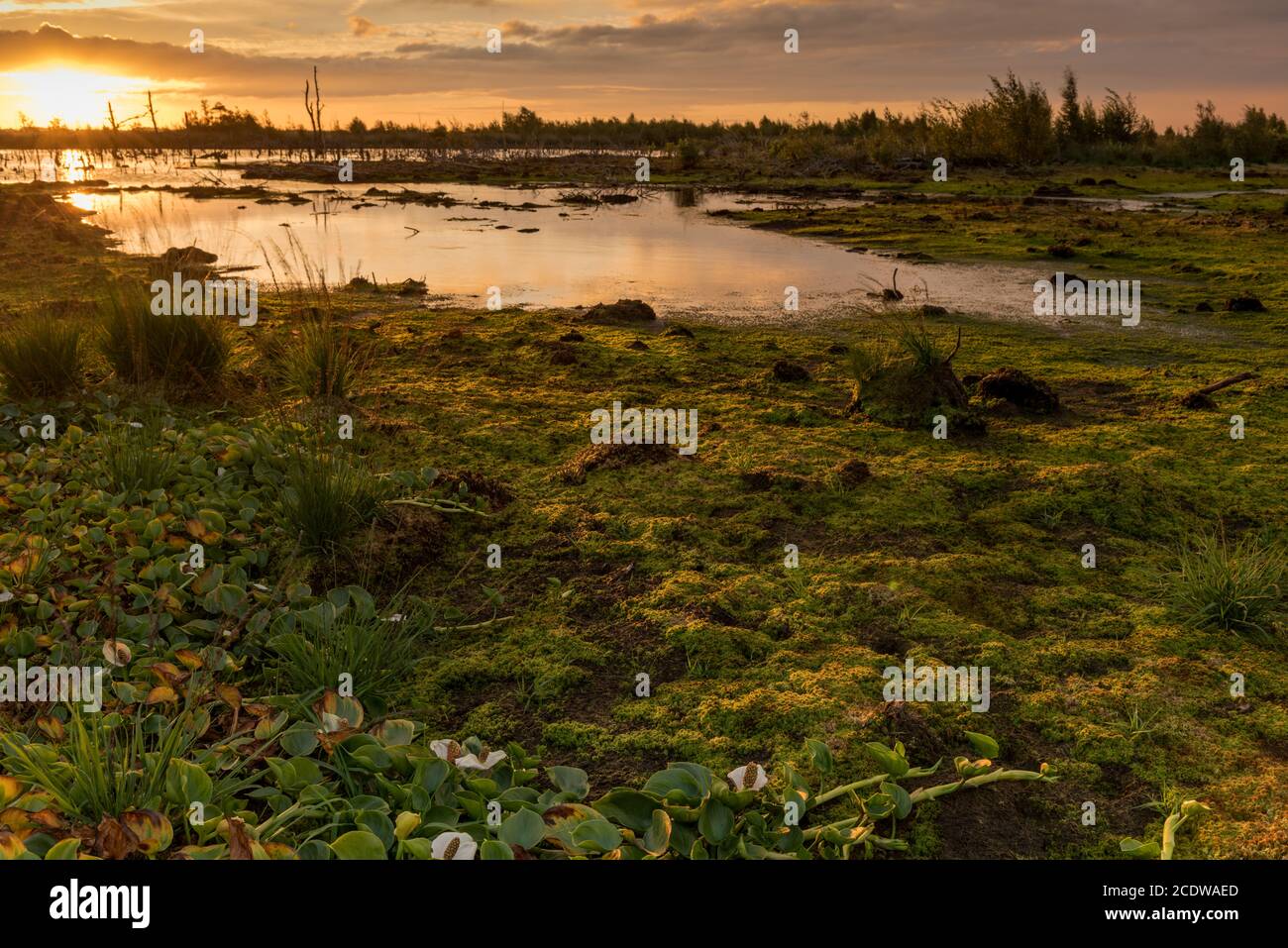 German sunrise hi-res stock photography and images - Alamy