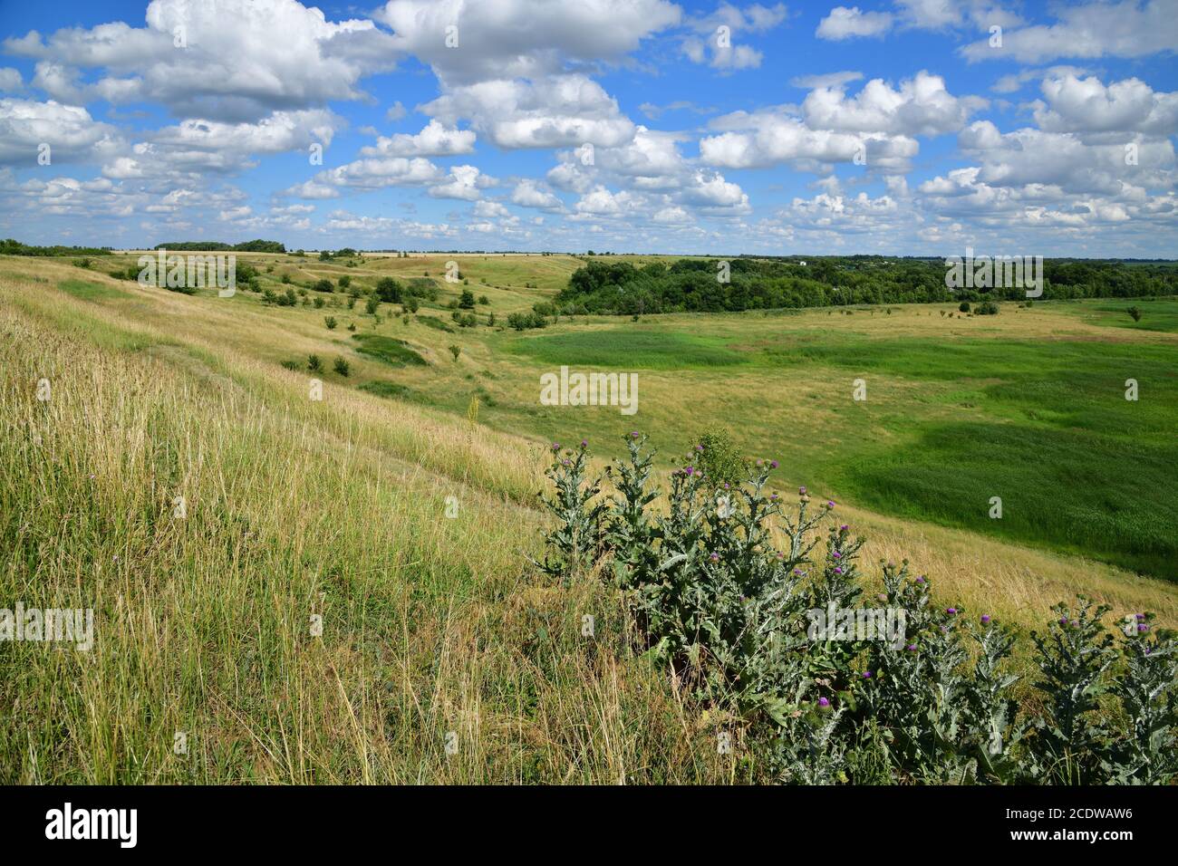 landscape from forest and steppe in Russia Stock Photo - Alamy