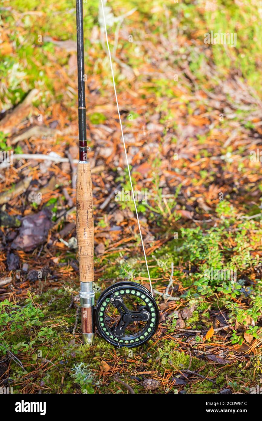 Fishing rod standing on the ground Stock Photo - Alamy