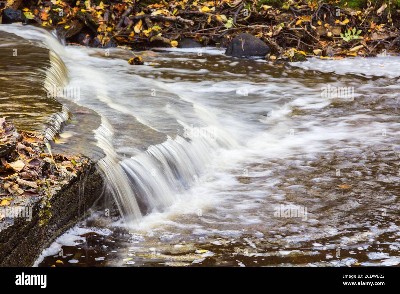 Leaves in a stream hi-res stock photography and images - Alamy