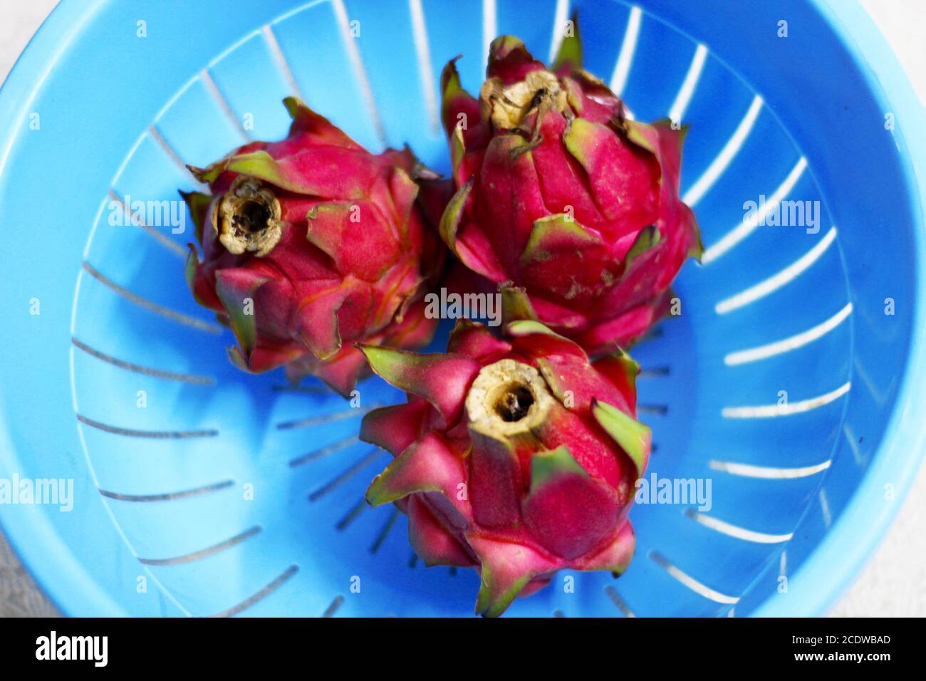 The beautiful red color dragon fruit Stock Photo - Alamy