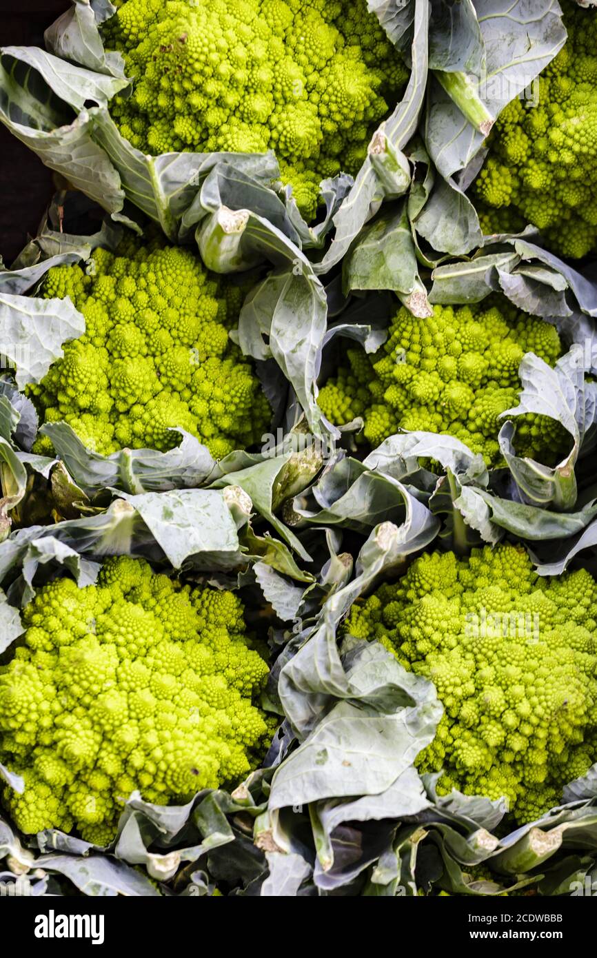Romanescos hi-res stock photography and images - Alamy