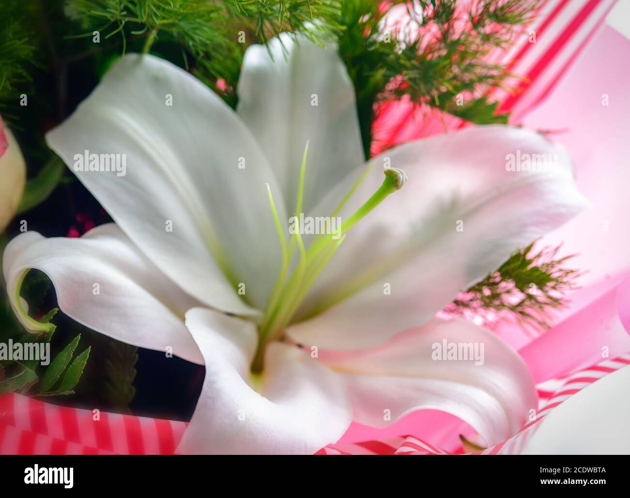 Lily flower close up hi-res stock photography and images - Alamy