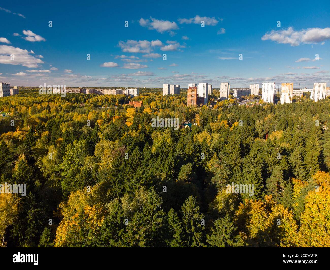 Autumn forest on outskirts of Moscow in Russia Stock Photo - Alamy