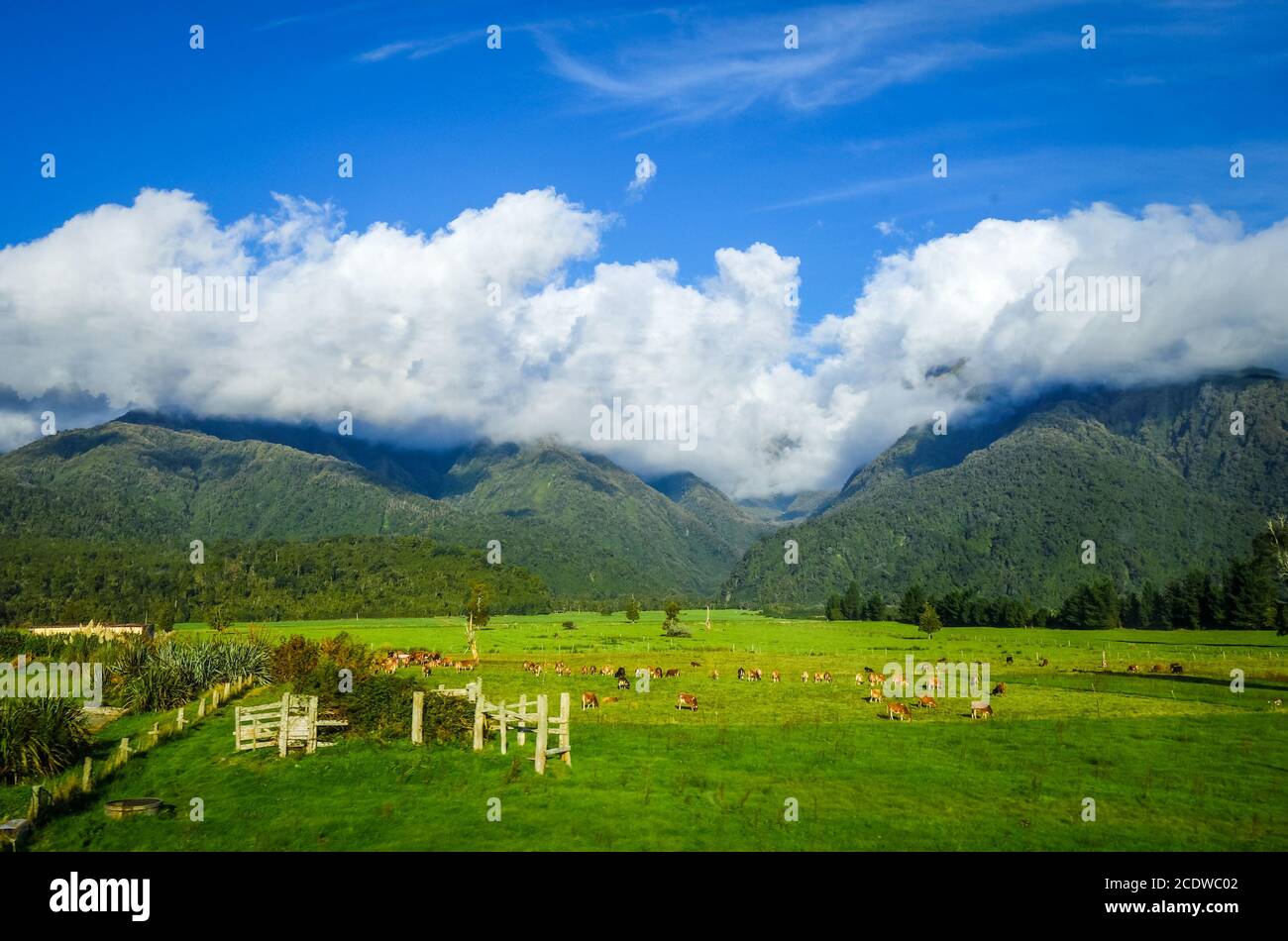 New Zealand countryside landscape Stock Photo - Alamy