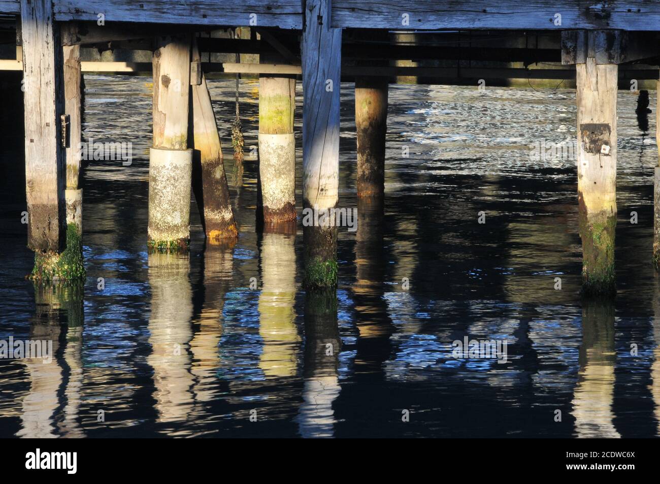 Water reflections at the Interisander ferry wharf, NZ Stock Photo - Alamy