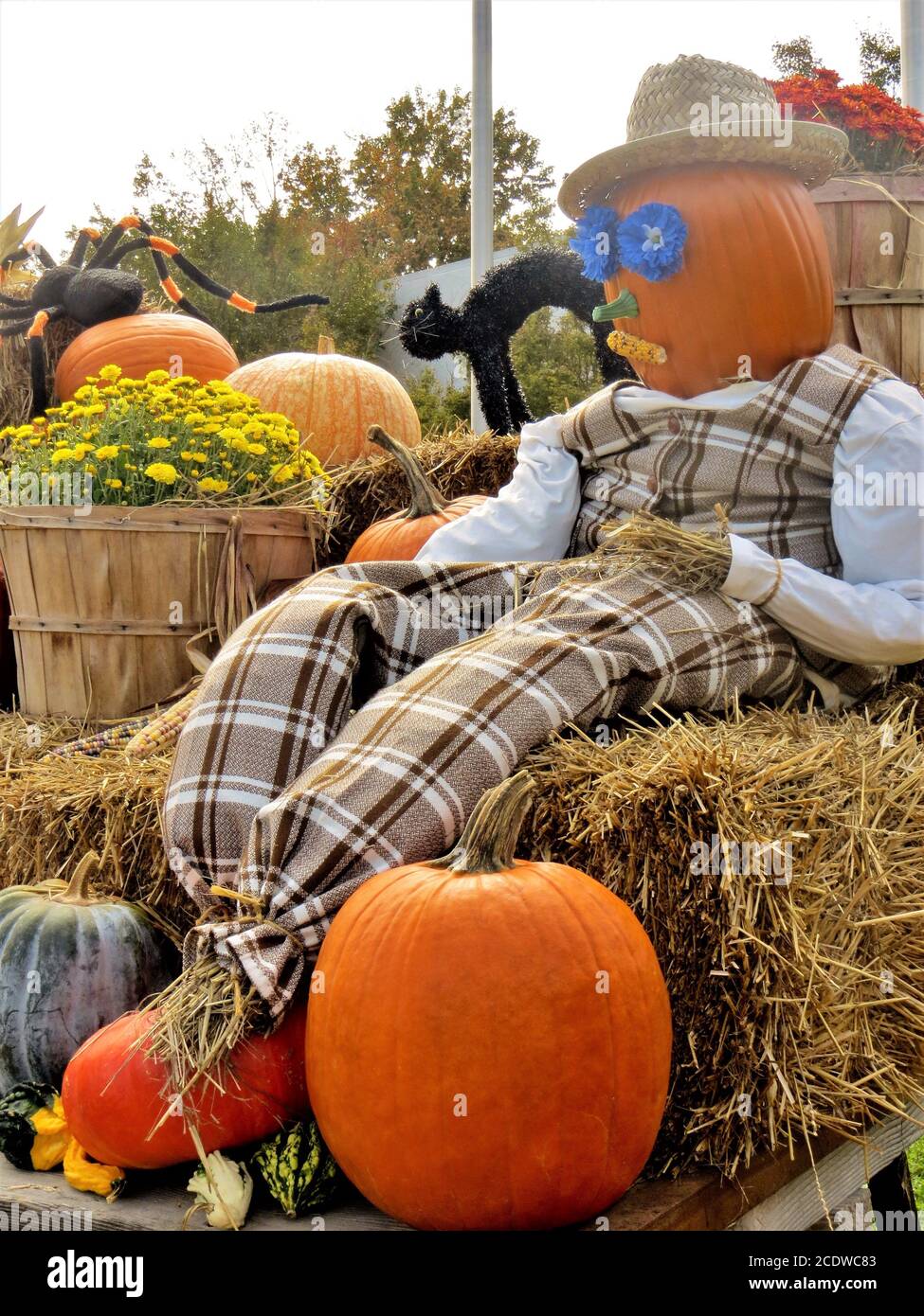 Autumn Fall Display Scarecrow Pumpkin High Resolution Stock Photography ...