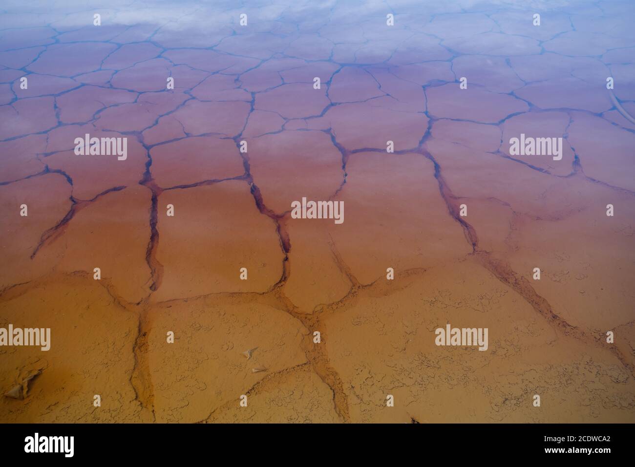 Poisonous water with cracked soil under it on abandoned toxic territory ...