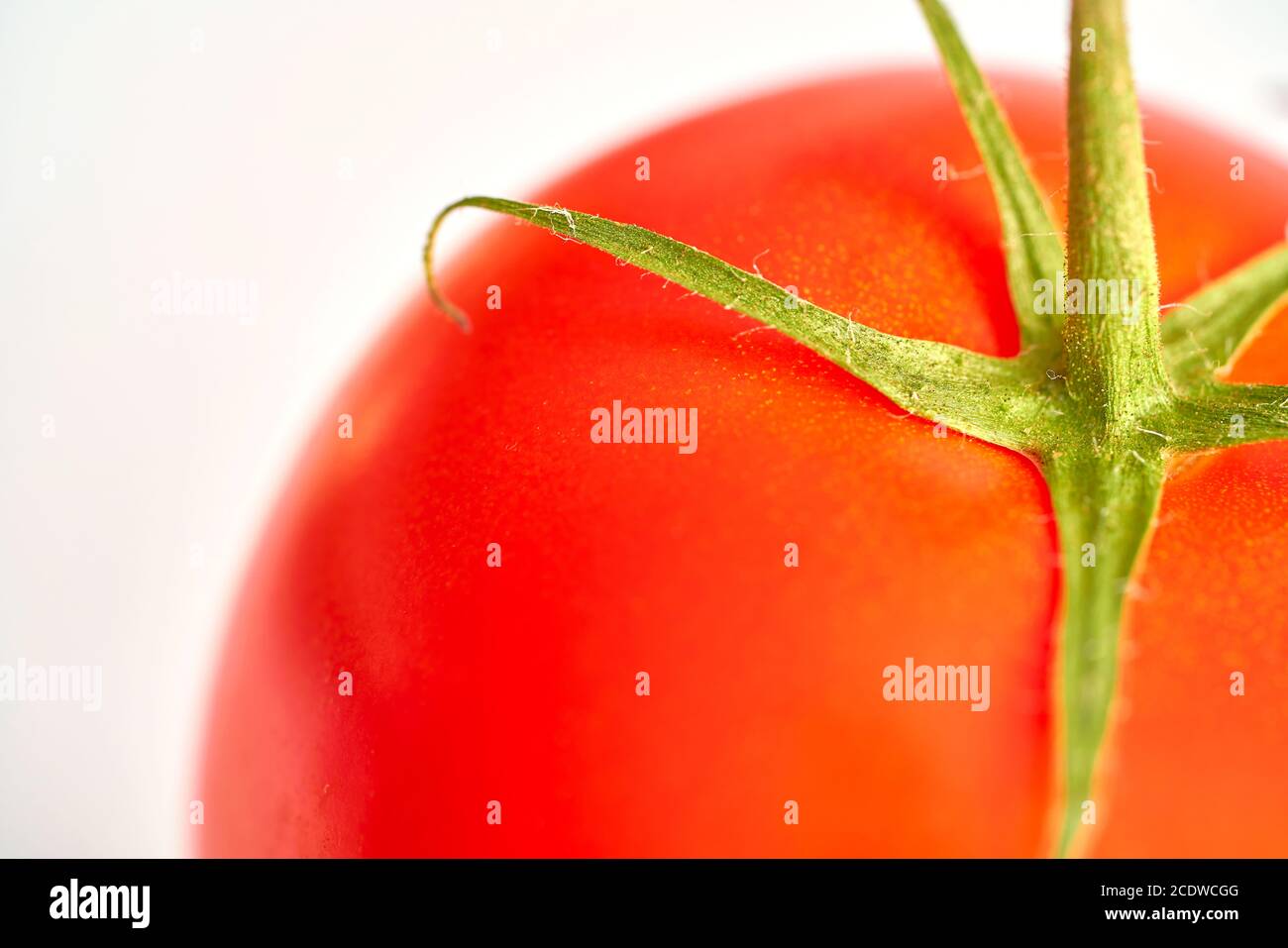 Closeup the tomato is the fruit of the tomato hi-res stock photography ...