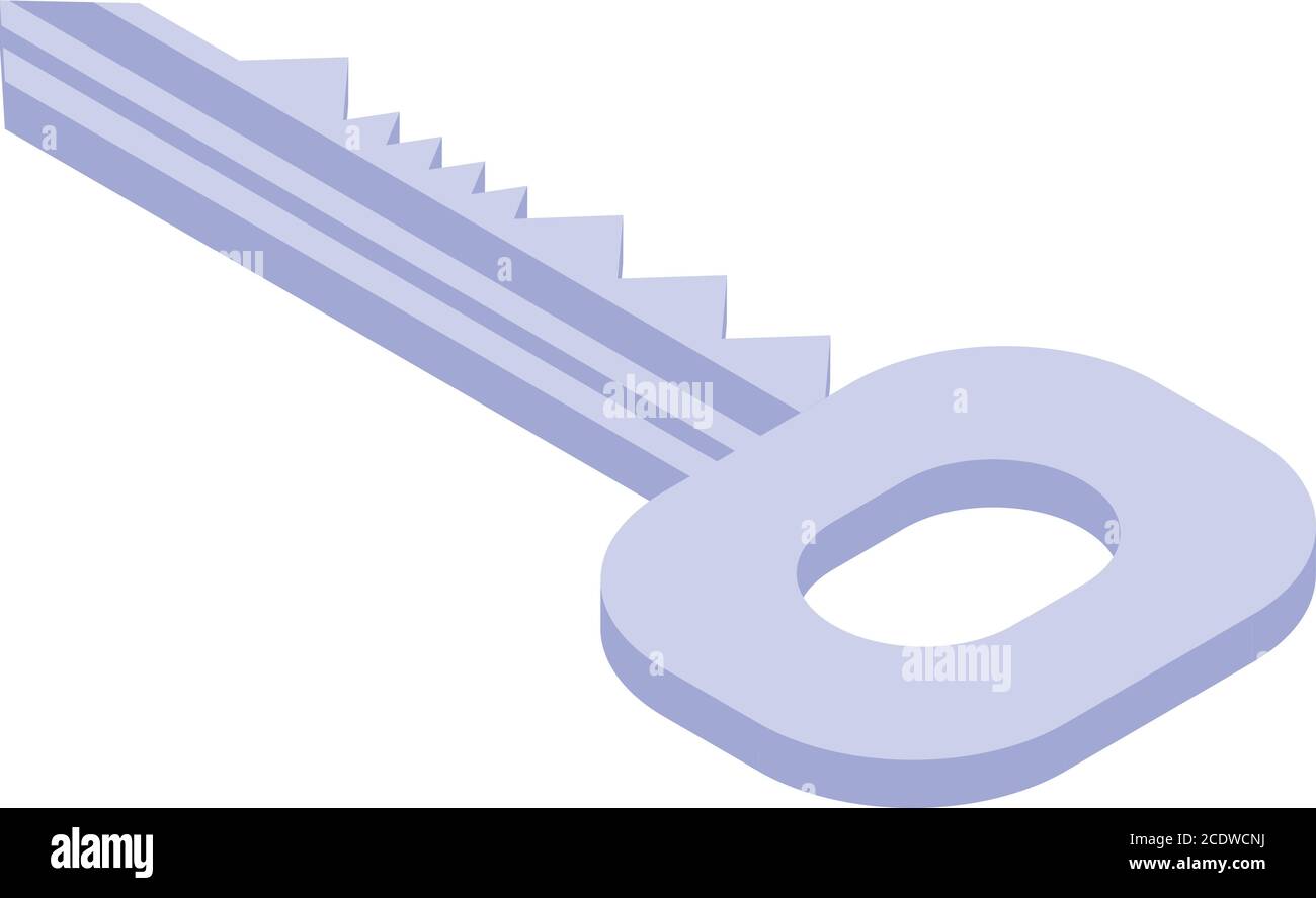 Security key icon, isometric style Stock Vector Image & Art - Alamy
