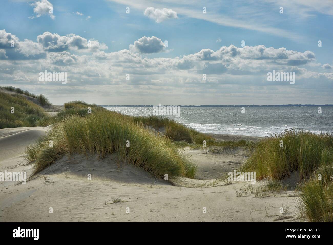 dutch north sea coast III Stock Photo - Alamy