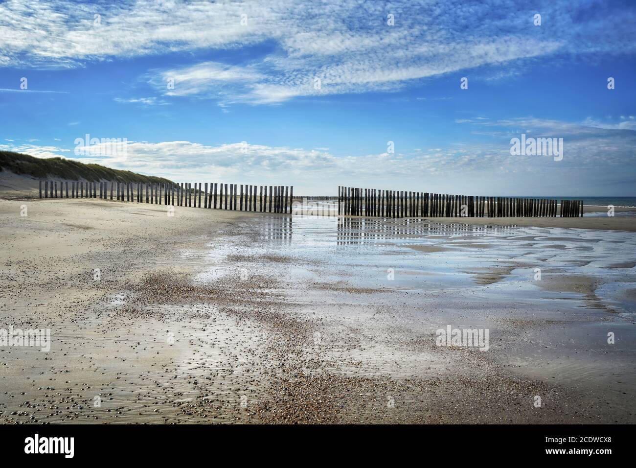 beach low tide Stock Photo - Alamy