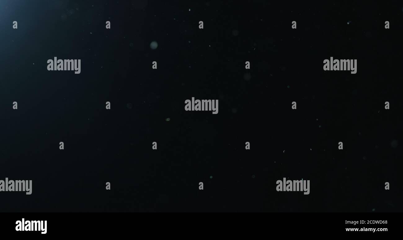 natural dust particles float in air on black background, wide photo ...