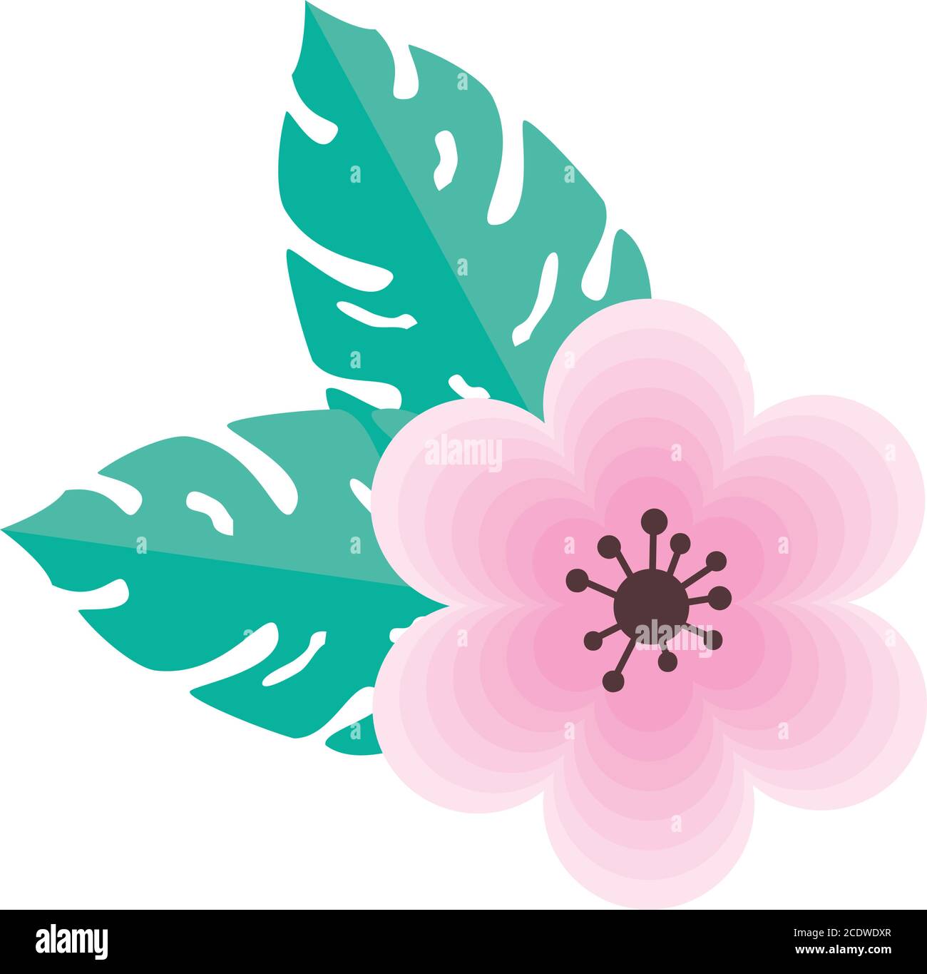 pink flower with leaves vector design Stock Vector Image & Art - Alamy