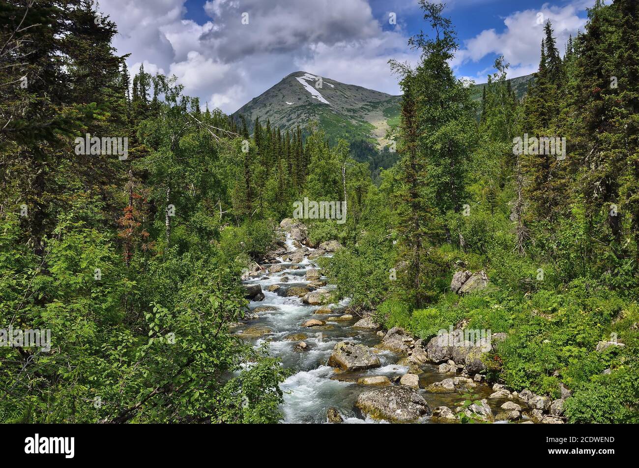 Fast flowing source of mountain river among dense forests and huge ...