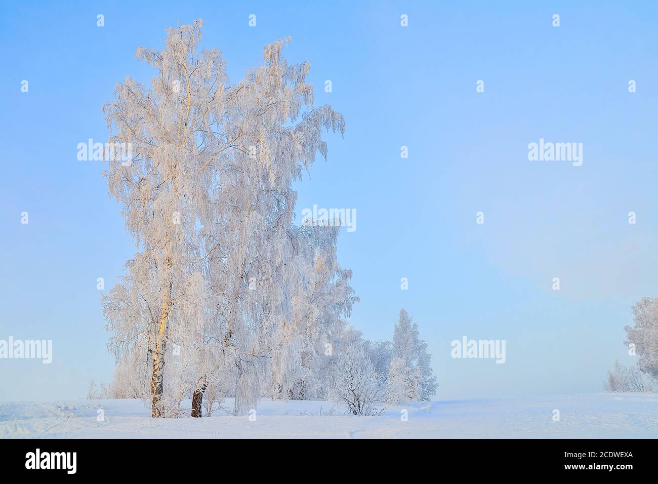 Cold winter day, beautiful hoarfrost and rime on trees Stock Photo - Alamy