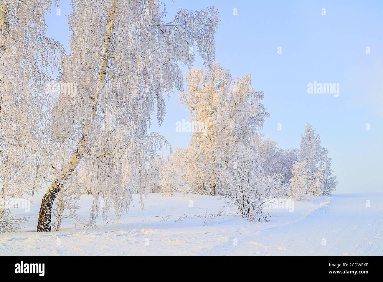 Cold winter day, beautiful hoarfrost and rime on trees Stock Photo - Alamy