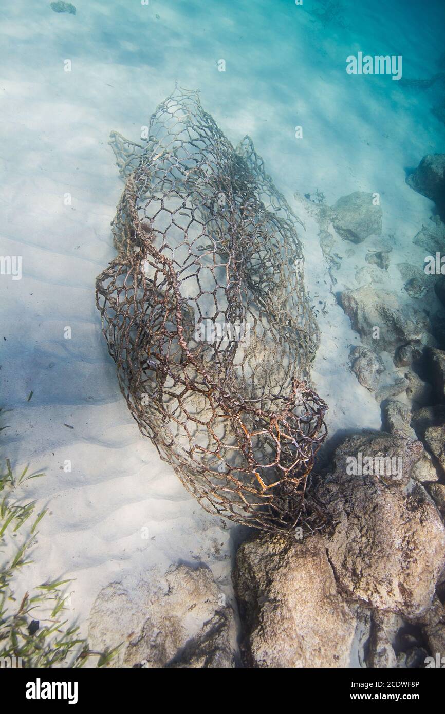 Cage area hi-res stock photography and images - Alamy