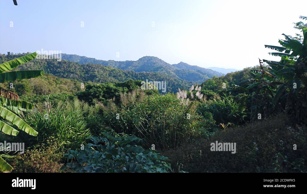 The perfect blue and green color of nature Stock Photo - Alamy