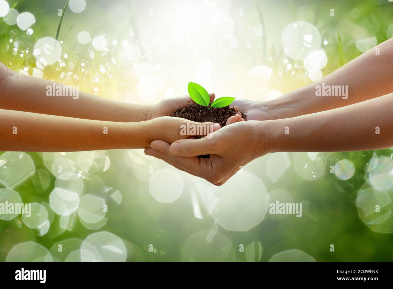 Adults Baby Hand tree environment Earth Day In the hands of trees ...