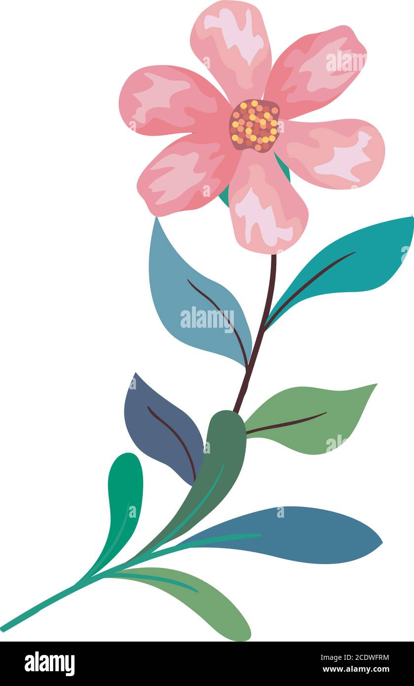 pink flower drawing with leaves vector design Stock Vector Image & Art ...