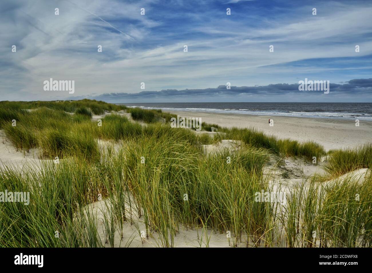 beach of ouddorp Stock Photo - Alamy