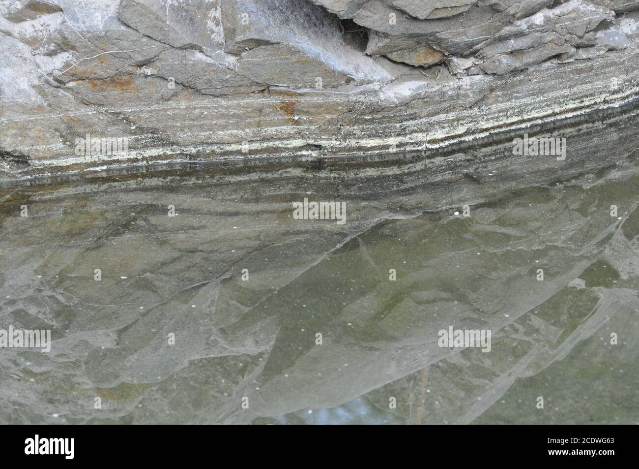 In winter, pale yellow pollen layers are left after the water level in ...