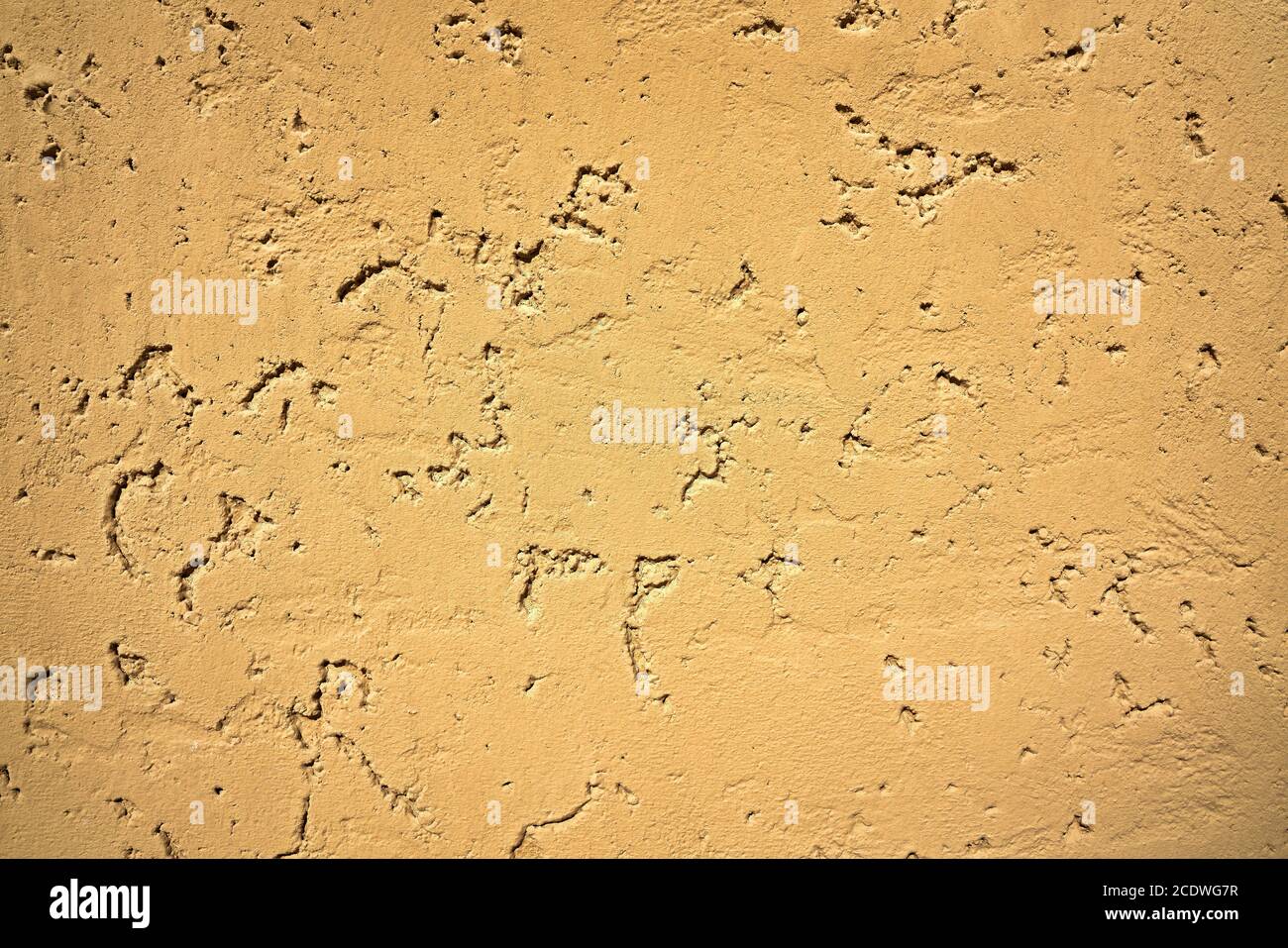 Plaster structure on a wall surface Stock Photo - Alamy