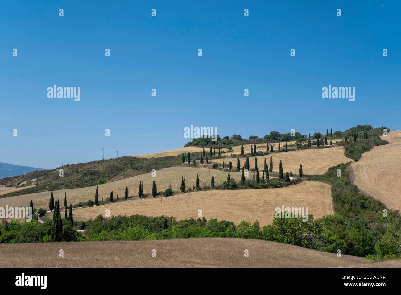 Tuscany sunny landscape. Typical for the region tuscan farm house ...
