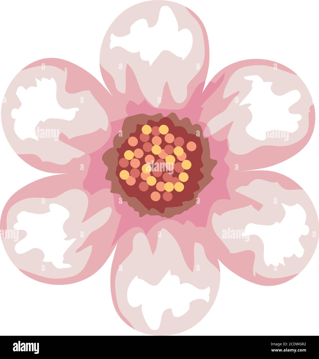 pink flower drawing vector design Stock Vector Image & Art - Alamy