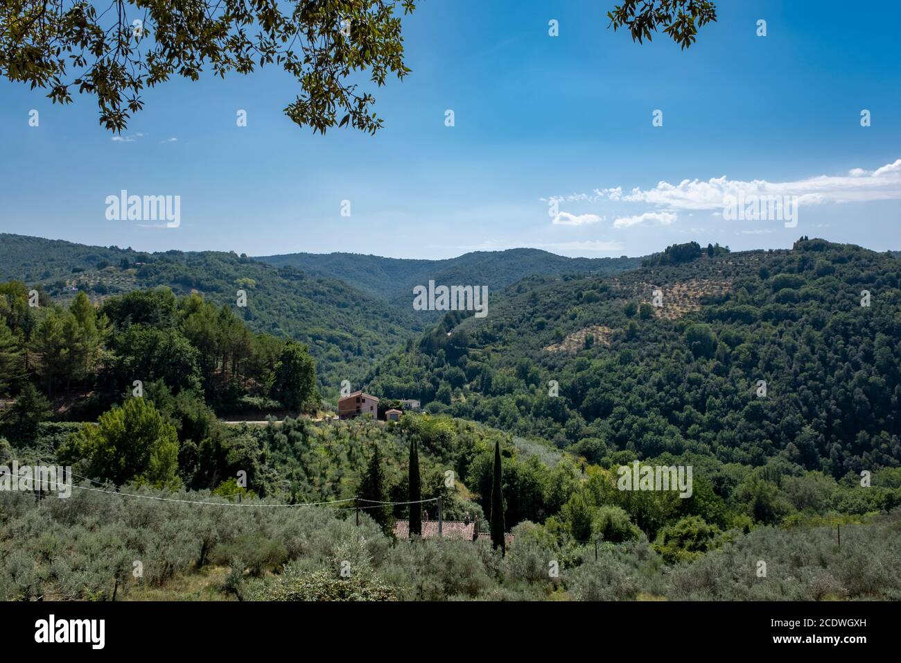 Tuscany sunny landscape. Typical for the region tuscan farm house ...