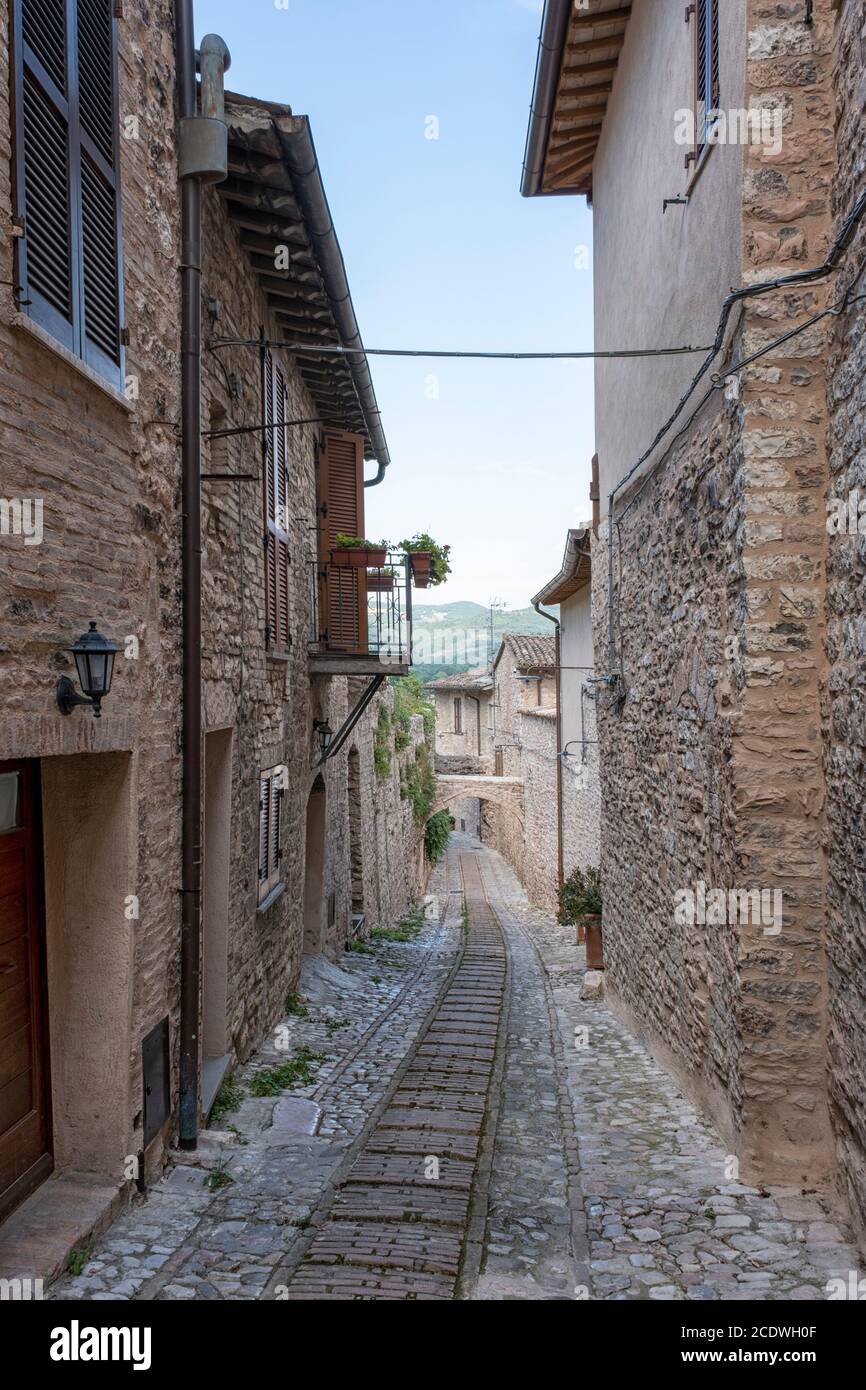 Typical street of Toscany, Italy Stock Photo - Alamy