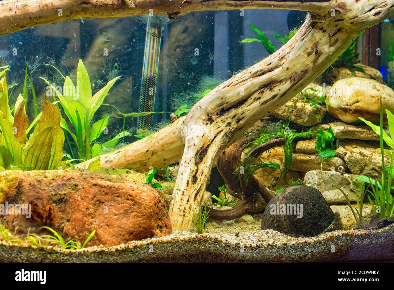 Small Aquarium Decorating Ideas