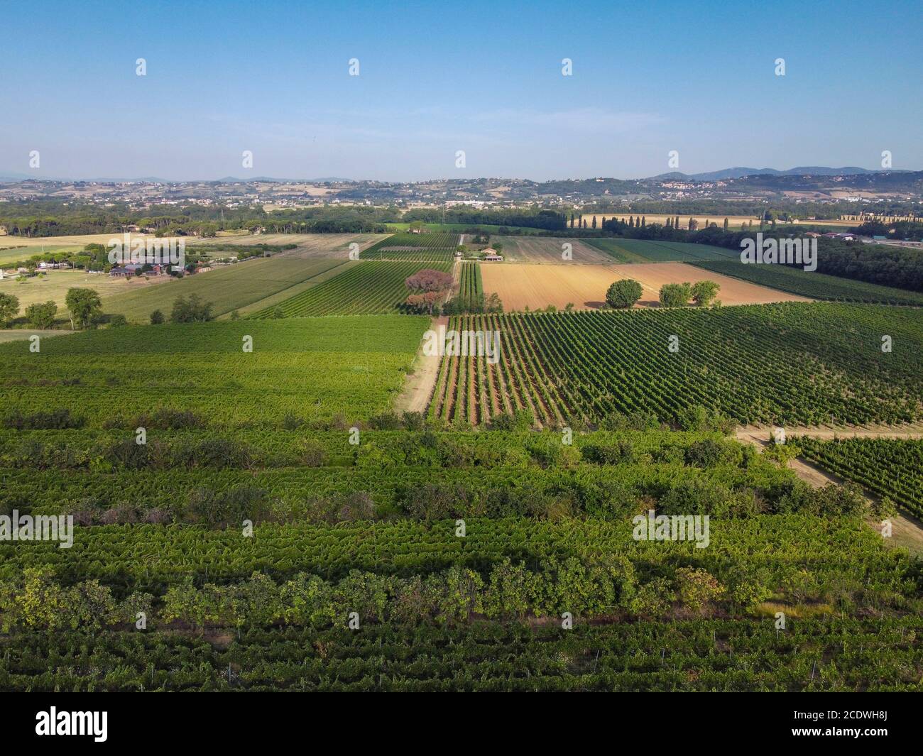 Tuscany sunny landscape. Typical for the region tuscan farm house ...
