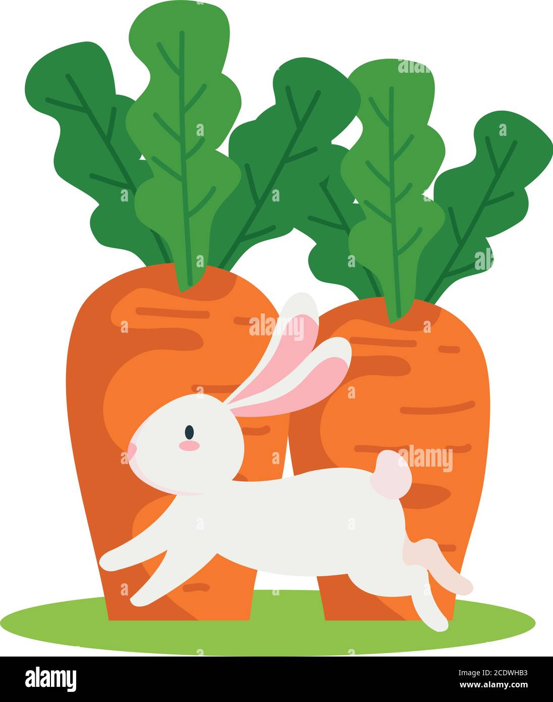 Cute white rabbit cartoon with carrots vector design Stock Vector Image ...