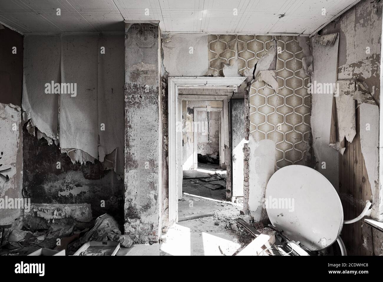 Condemned tree hi-res stock photography and images - Alamy