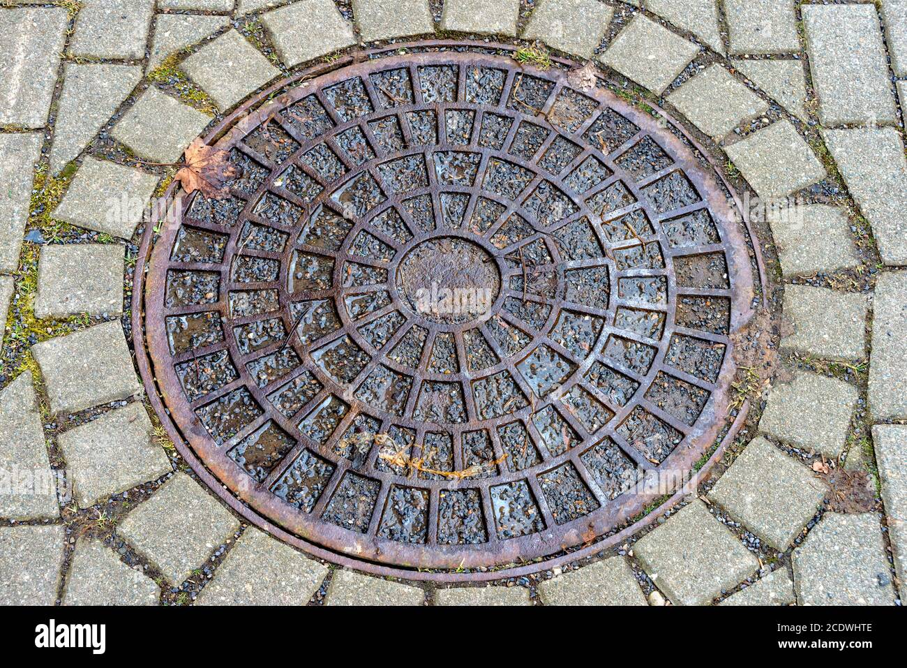 Round manhole cover on the footpath Stock Photo - Alamy