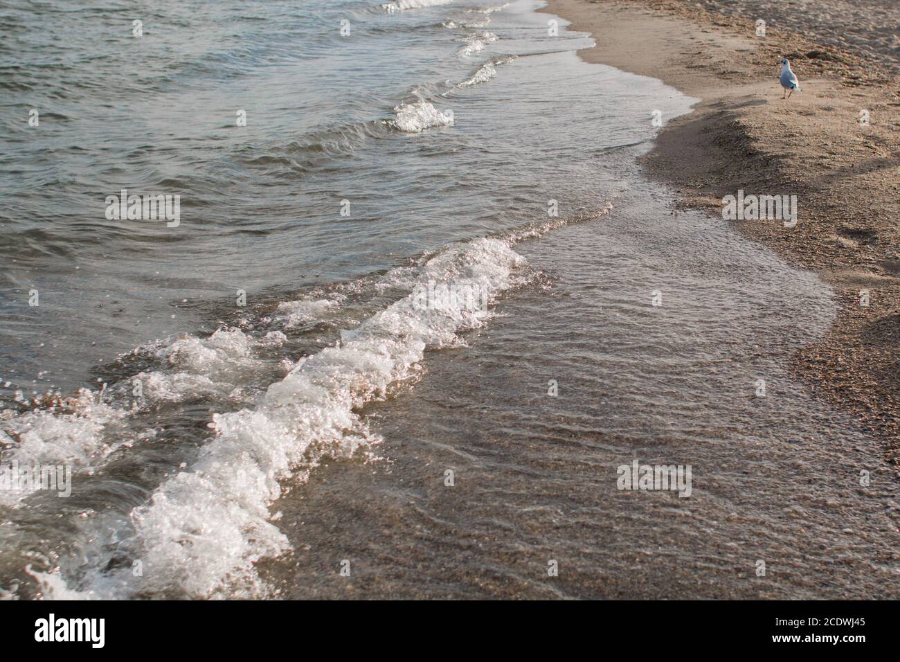 a sandy seashore with clear sea water Stock Photo - Alamy