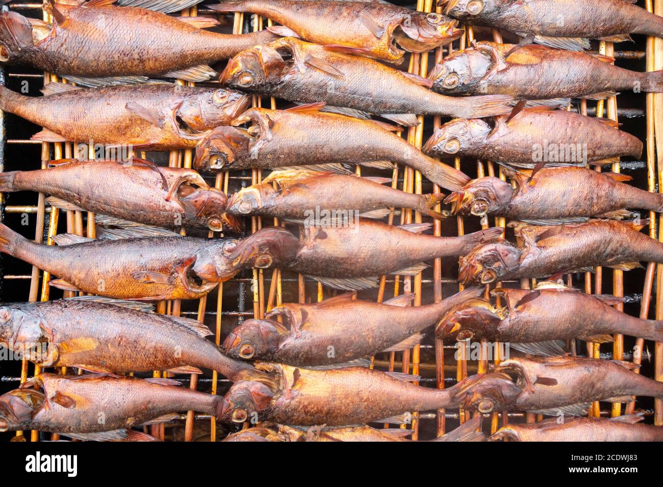 Smoked fish. Smoke. Hot Smoked fish meat. Smoked fish. Perch. Smoked ...