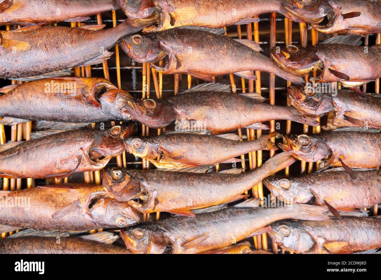 Smoked fish. Smoke. Hot Smoked fish meat. Smoked fish. Perch. Smoked ...