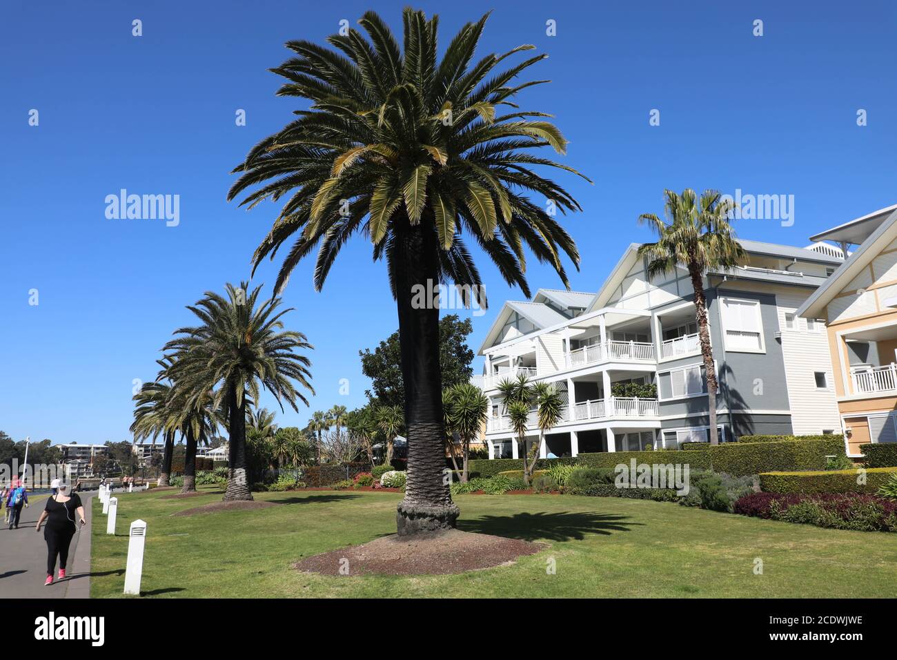 The Sydney suburb of Breakfast Point Stock Photo - Alamy