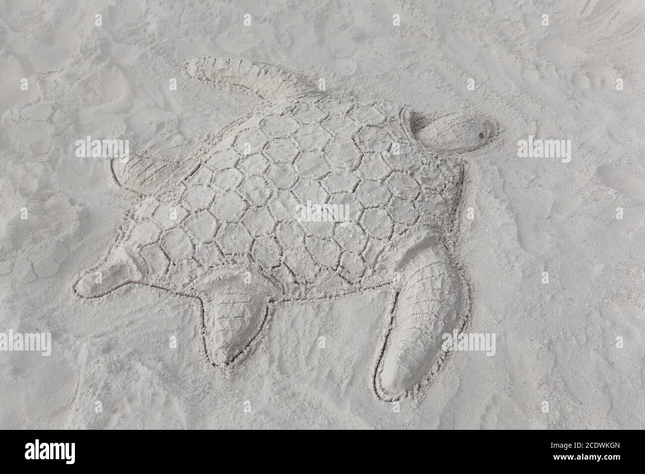Beautiful turtle shaped in sand shape Stock Photo - Alamy