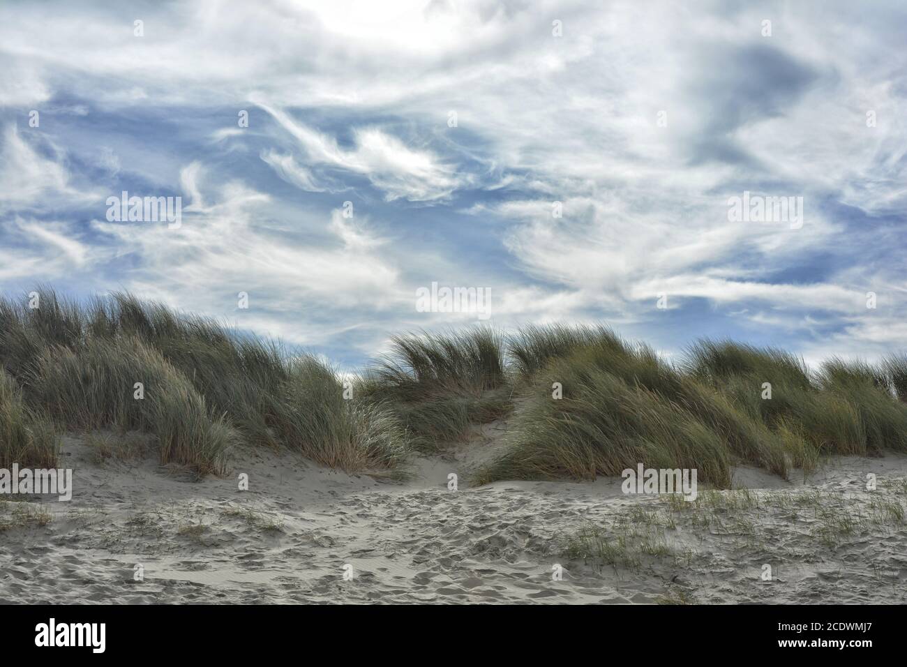 Dutch dunes hi-res stock photography and images - Alamy
