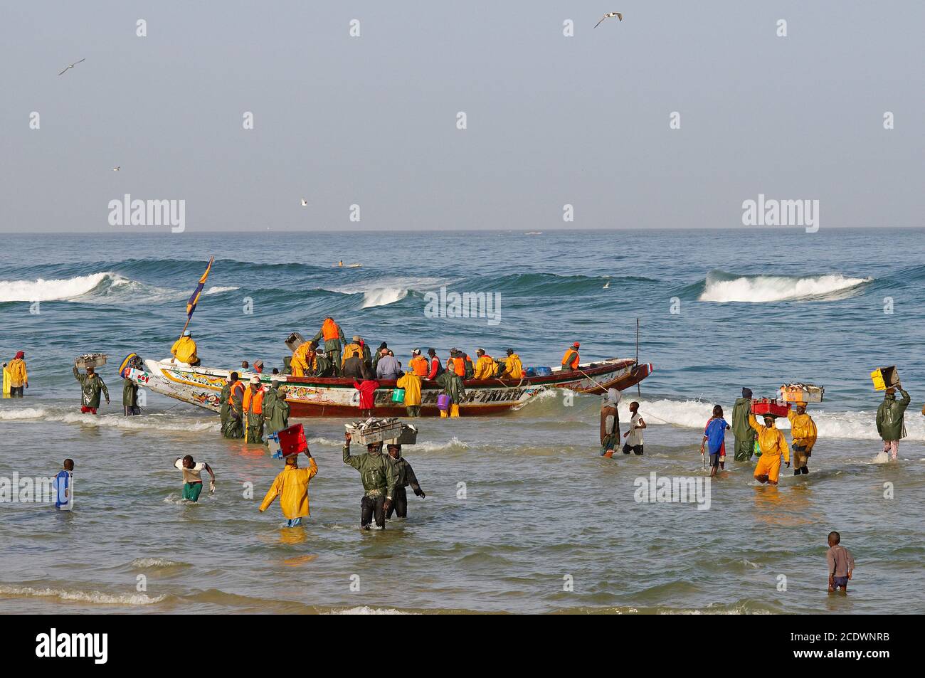 Senegal. Kayar fish harbour. Biggest fish harbour in Senegal Stock ...
