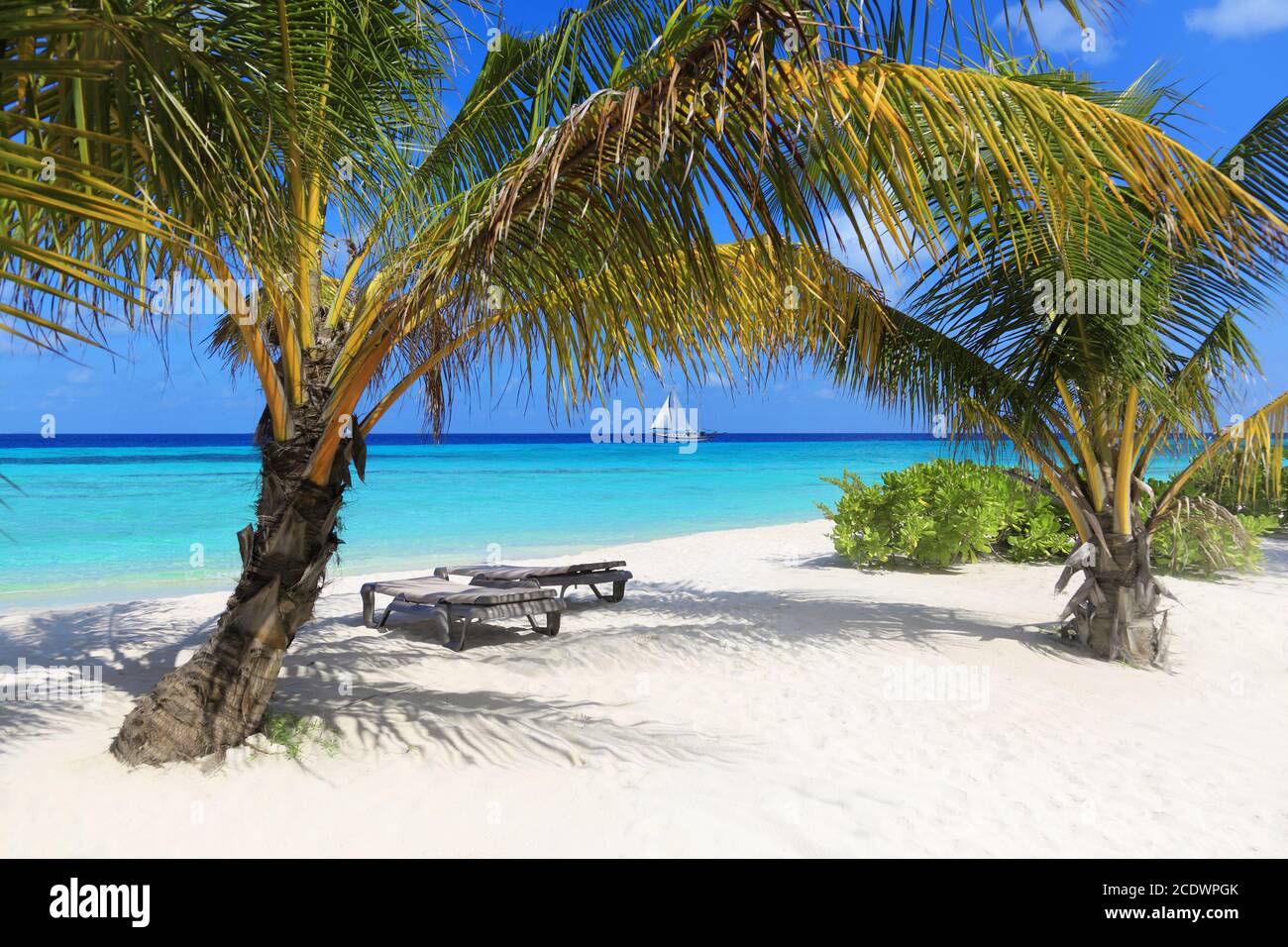 Rest under the palm trees hi-res stock photography and images - Alamy