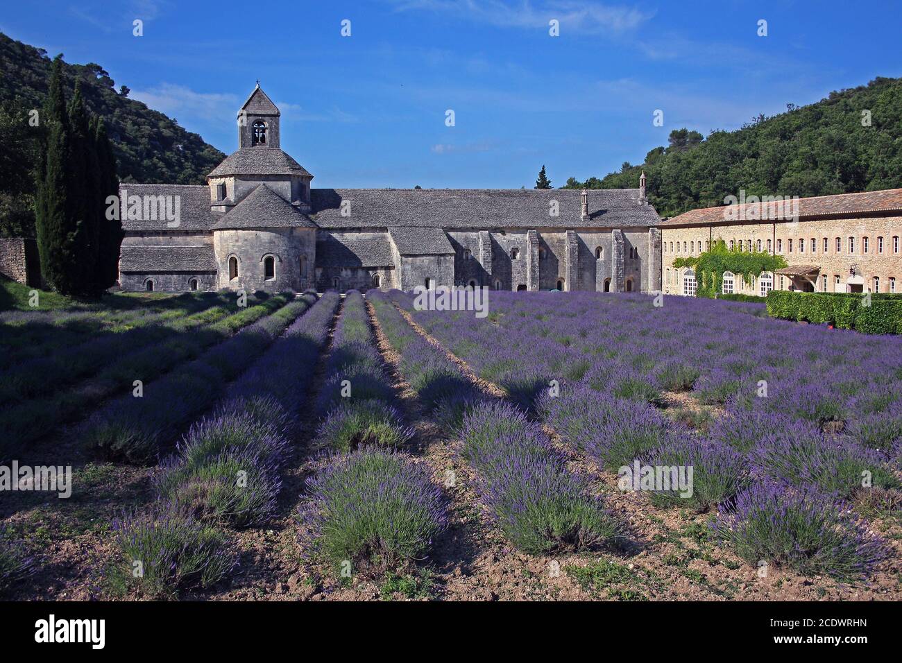 Senanque abtei monks hi-res stock photography and images - Alamy