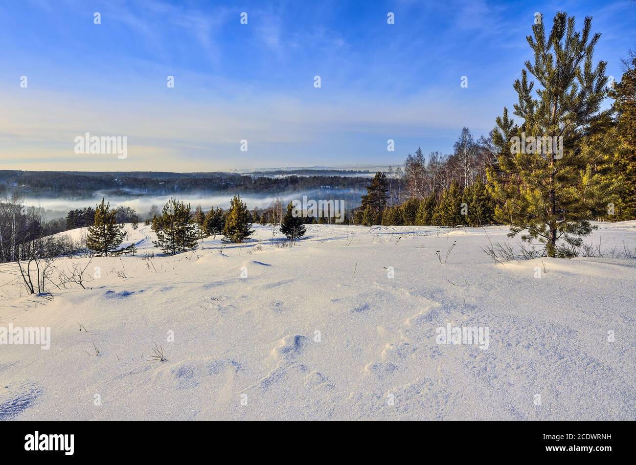 Beautiful winter morning landscape in mountain forest with fog Stock ...