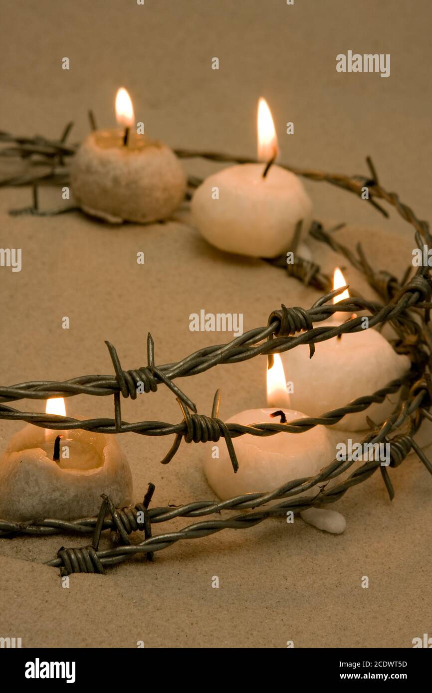 Candles in barbed wire, symbol of civil rights and hope Stock Photo - Alamy