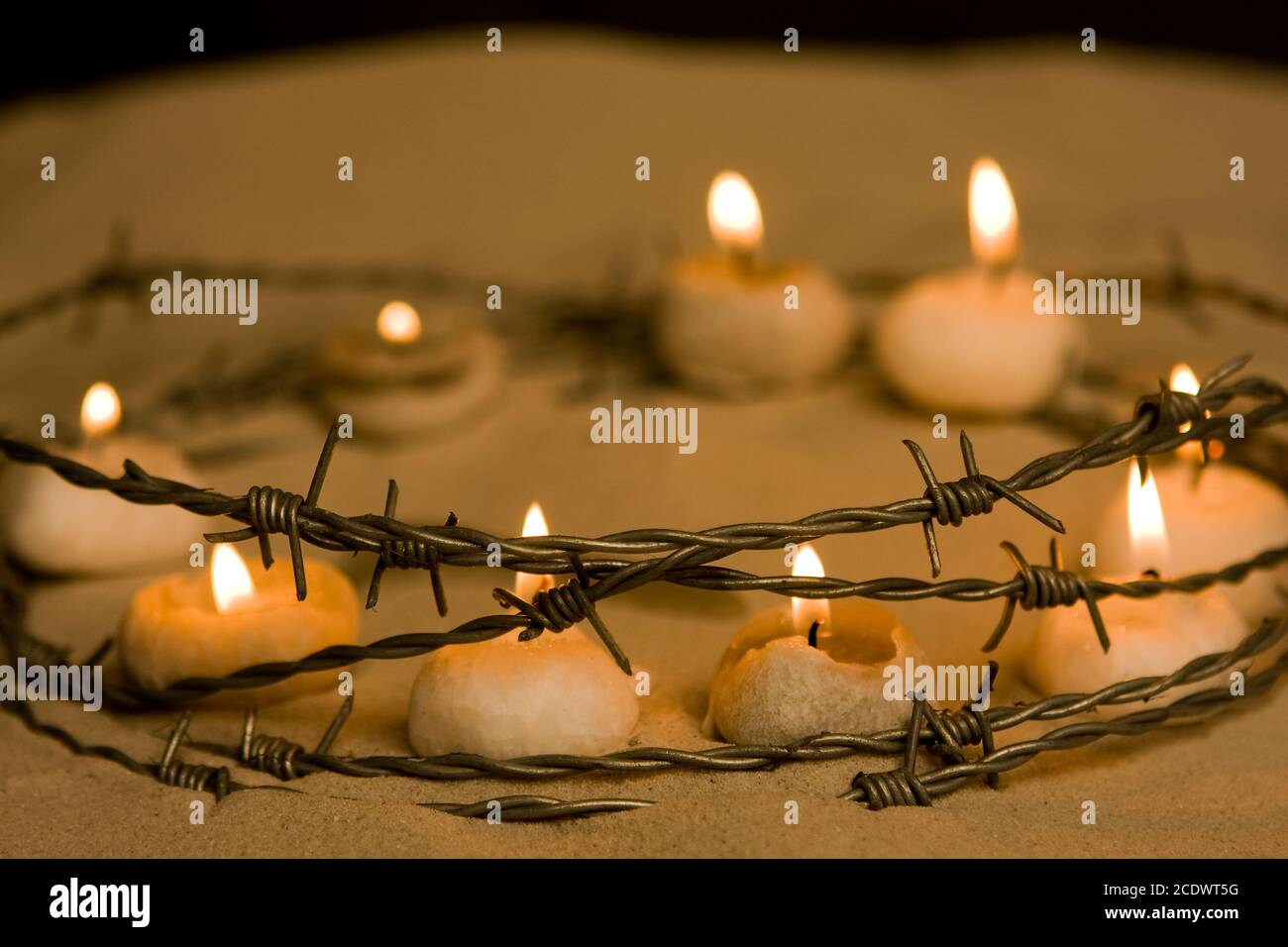 Burning candles in barbed wire, symbol of hope and civil rights Stock ...
