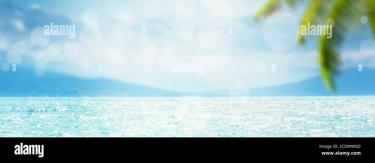 Blurred summer natural marine tropical blue background with palm leaves ...